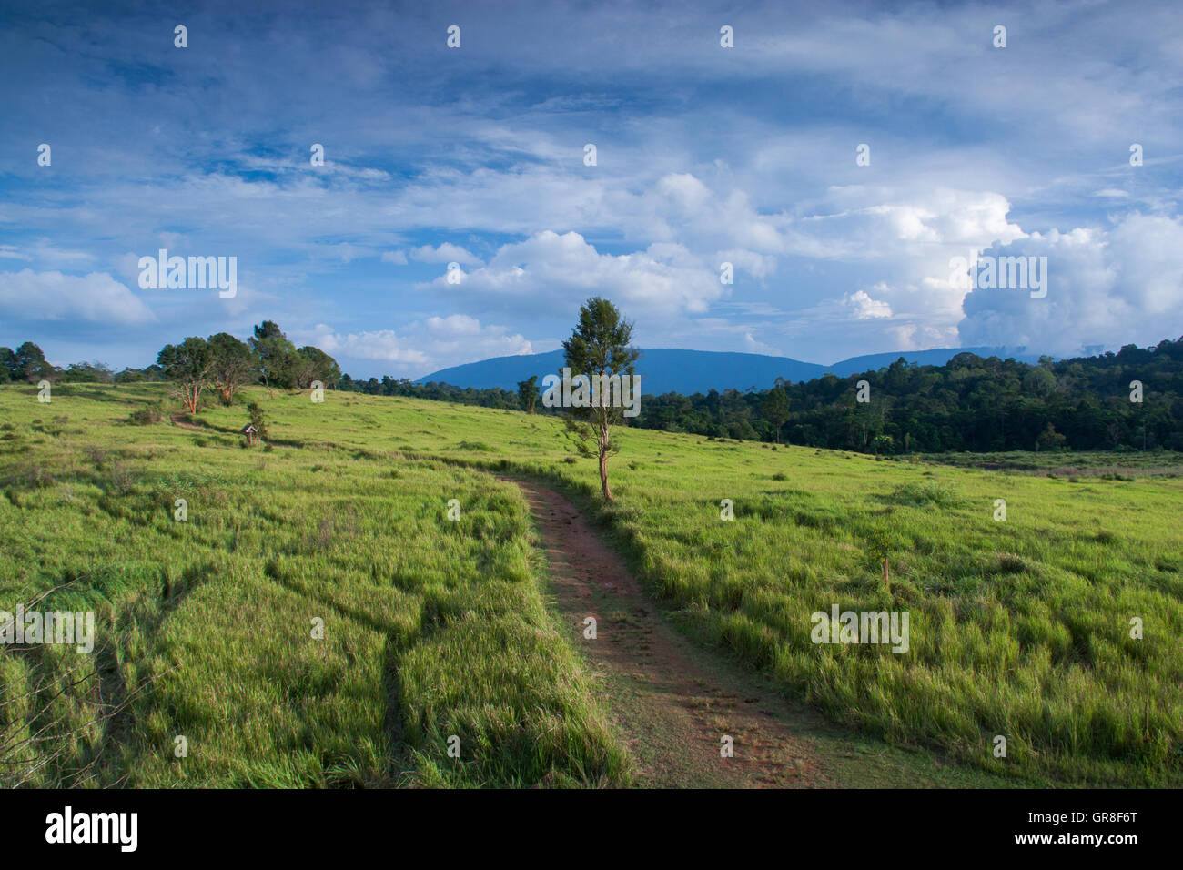 Field trail hi-res stock photography and images - Alamy