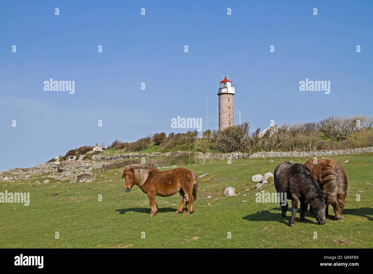 The 28 M High Lighthouse Lista Lighthouse Is The Symbol Of The Small ...
