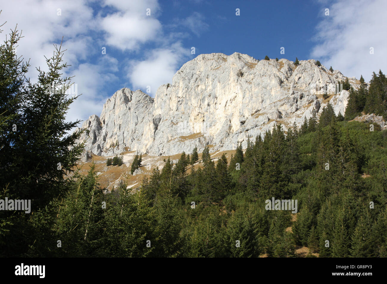 Rote Flora High Resolution Stock Photography and Images - Alamy