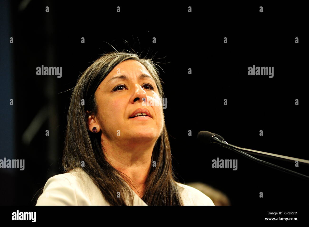 Deputy Mayor Of Vienna, Maria Vassilakou-The Greens Stock Photo - Alamy