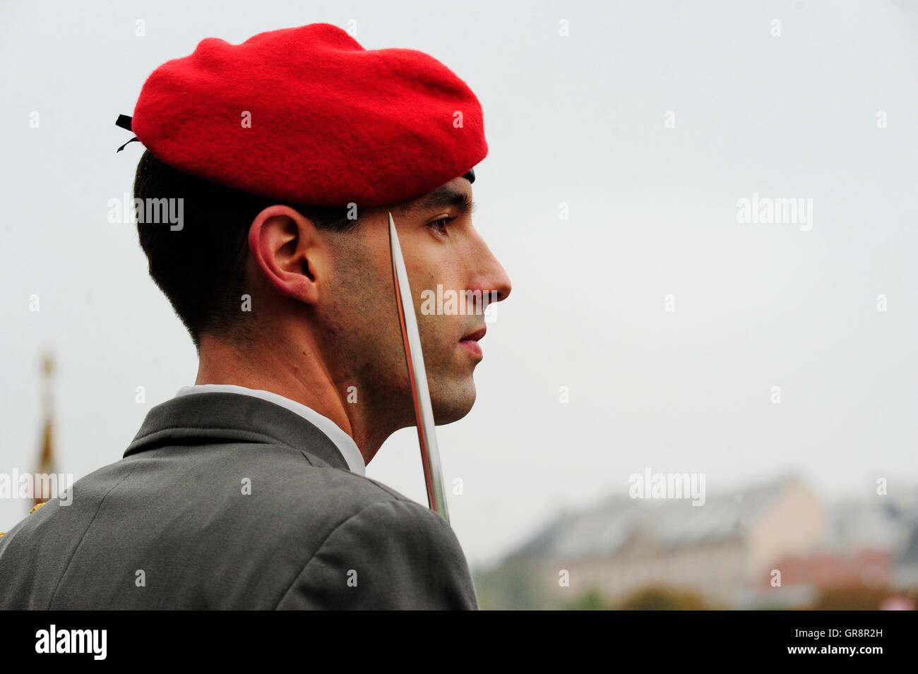 Austrian guard hi-res stock photography and images - Alamy