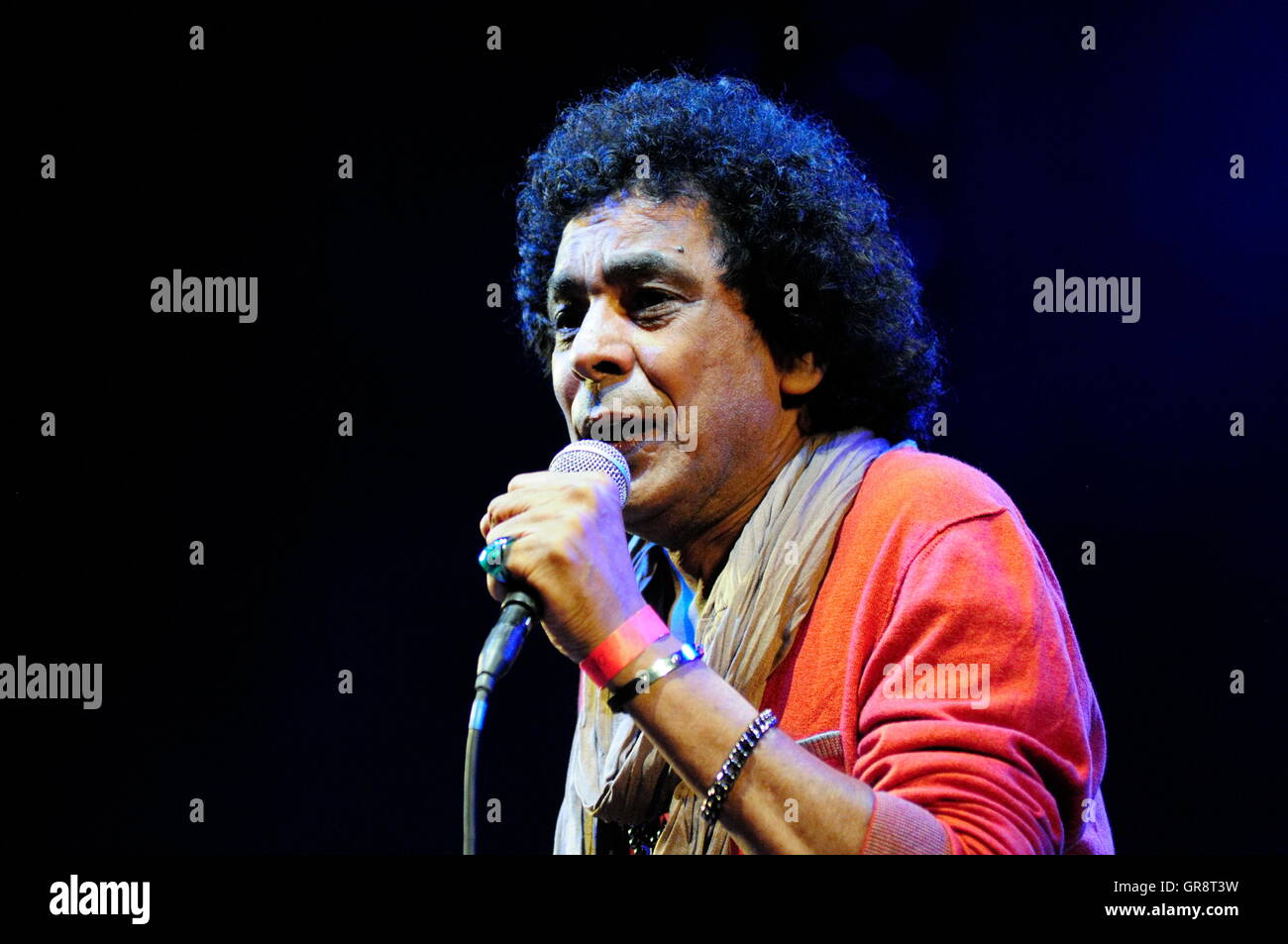 Mohamed Mounir In Concert Stock Photo - Alamy