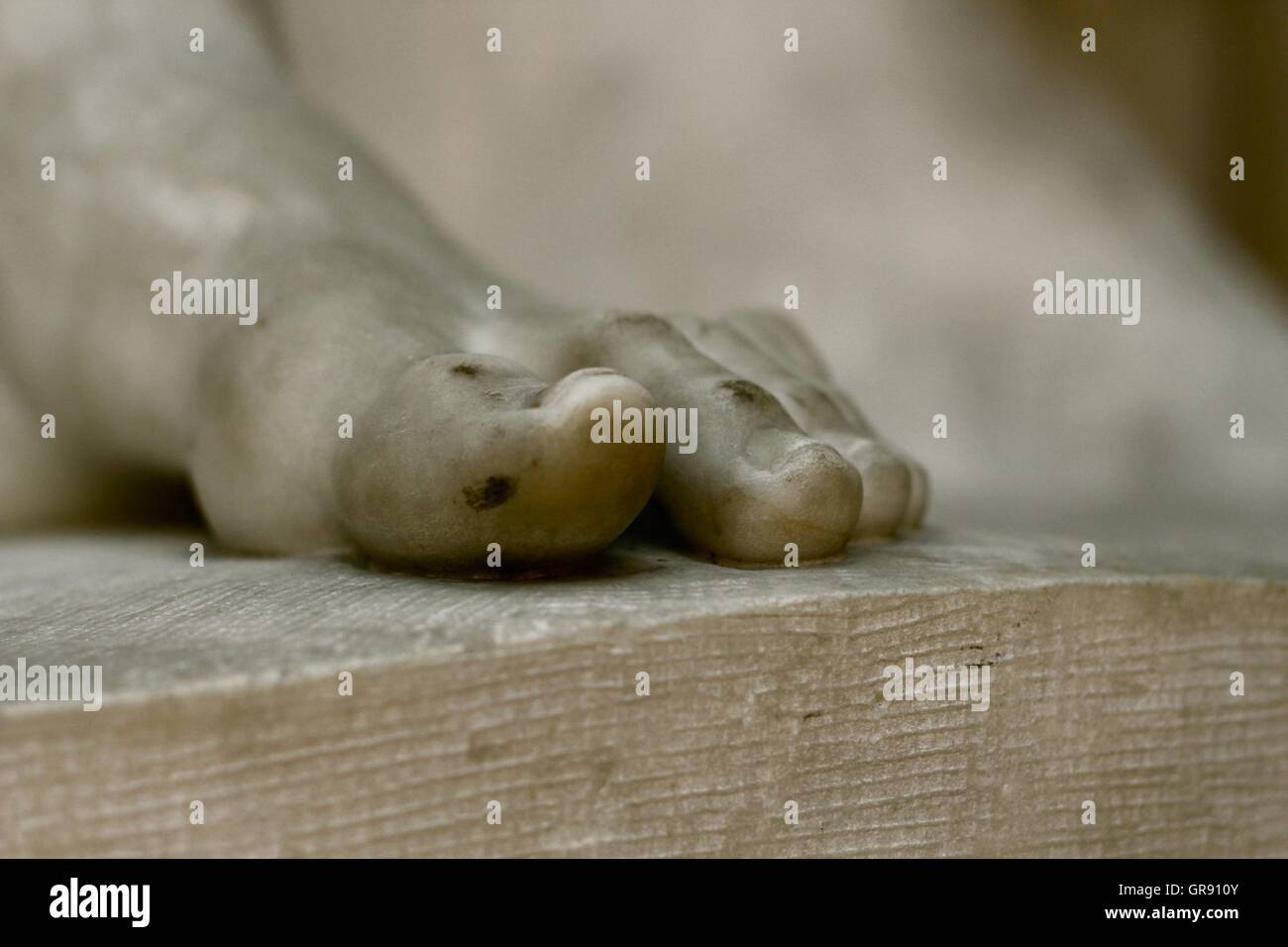 Close Up Toes High Resolution Stock Photography and Images - Alamy