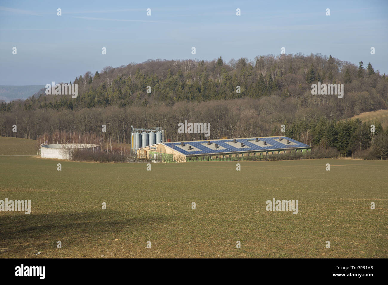 Small Pig Farm In Thuringia, Germany Stock Photo - Alamy