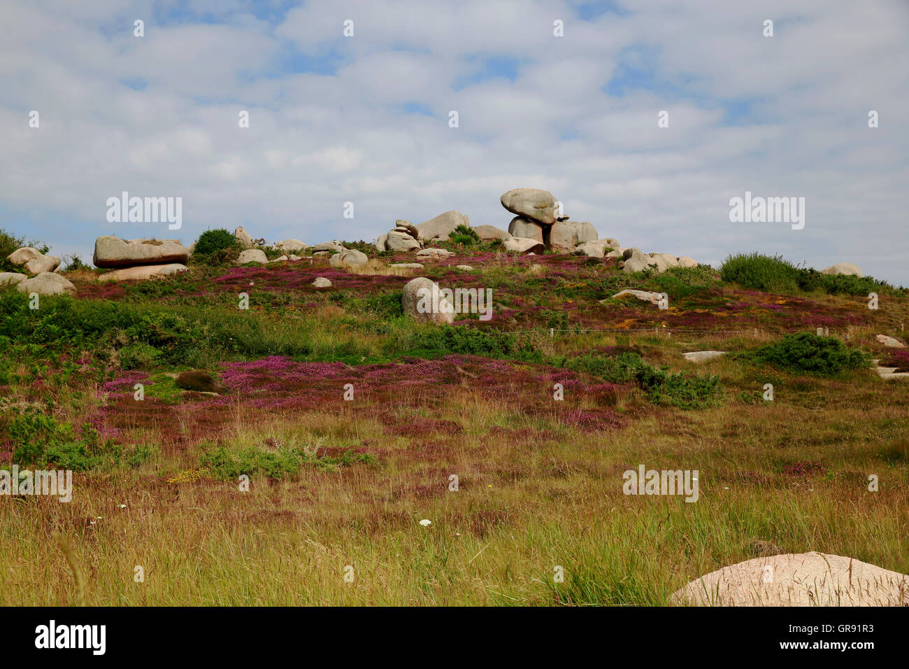 Granite Rocks On The Pink Granite Coast In Ploumanach, Brittany, France ...