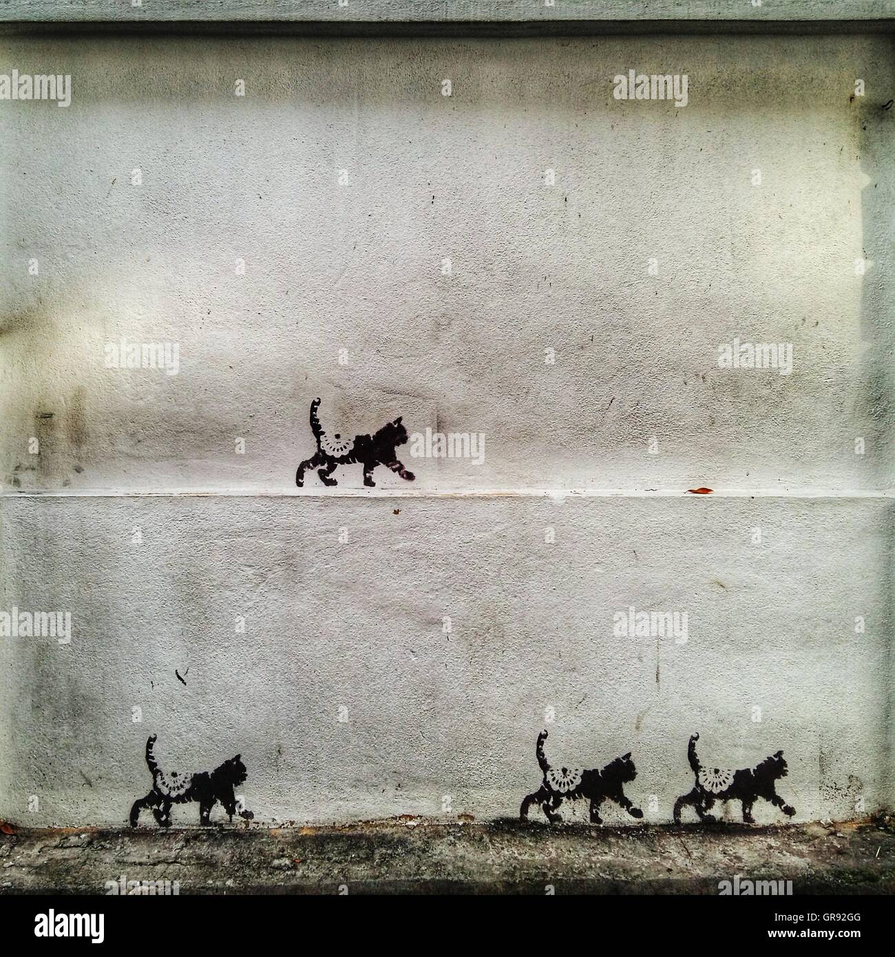 Black cat on graffiti on hi-res stock photography and images - Alamy