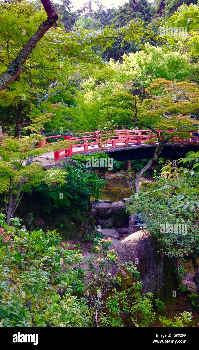 Red Bridge Over River Against Trees At Park Stock Photo - Alamy