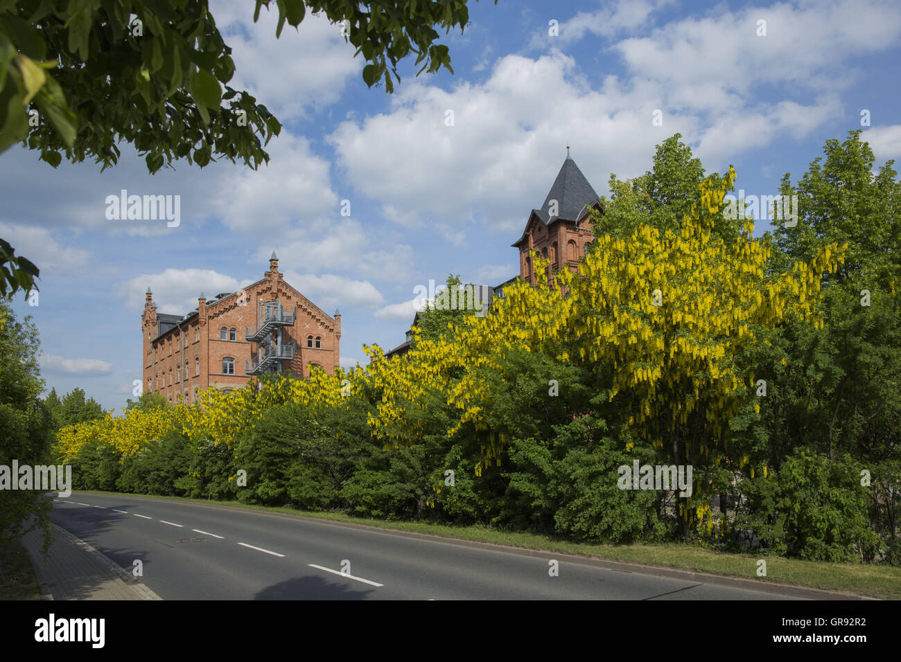 Laburnum street hi-res stock photography and images - Alamy