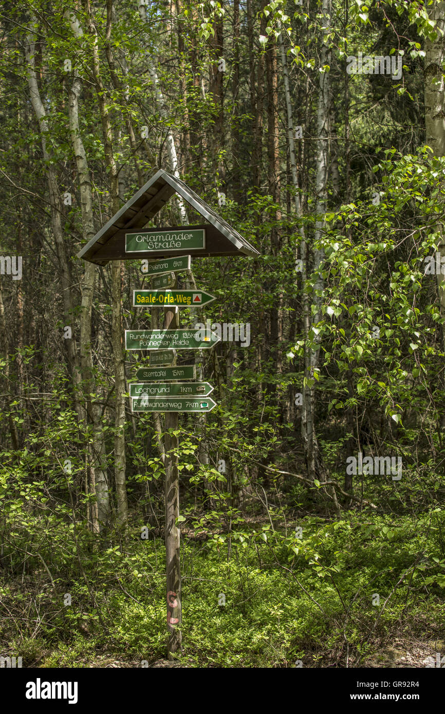 Road signs on forest road hi-res stock photography and images - Alamy