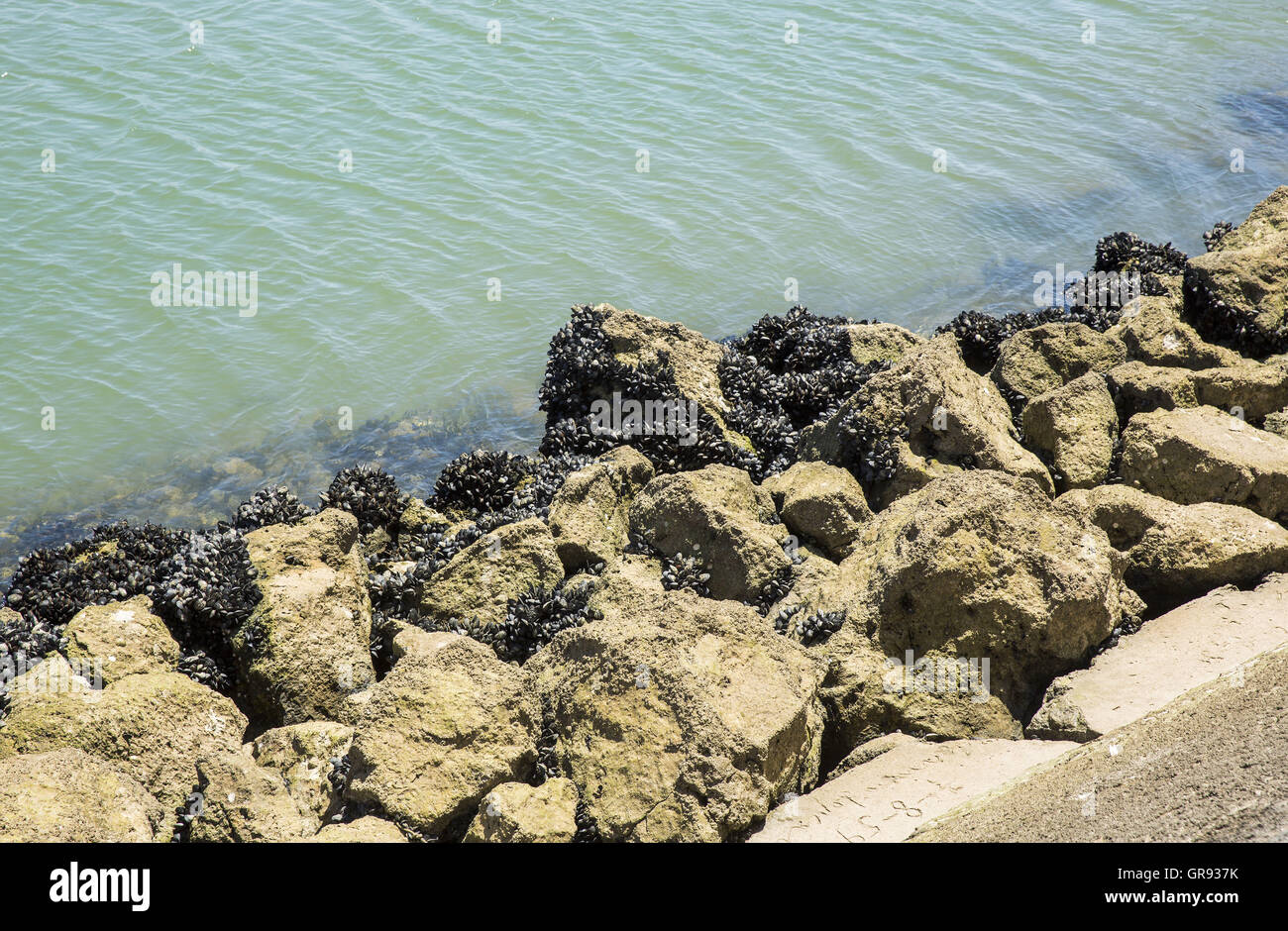 Bank reinforcement hi-res stock photography and images - Alamy