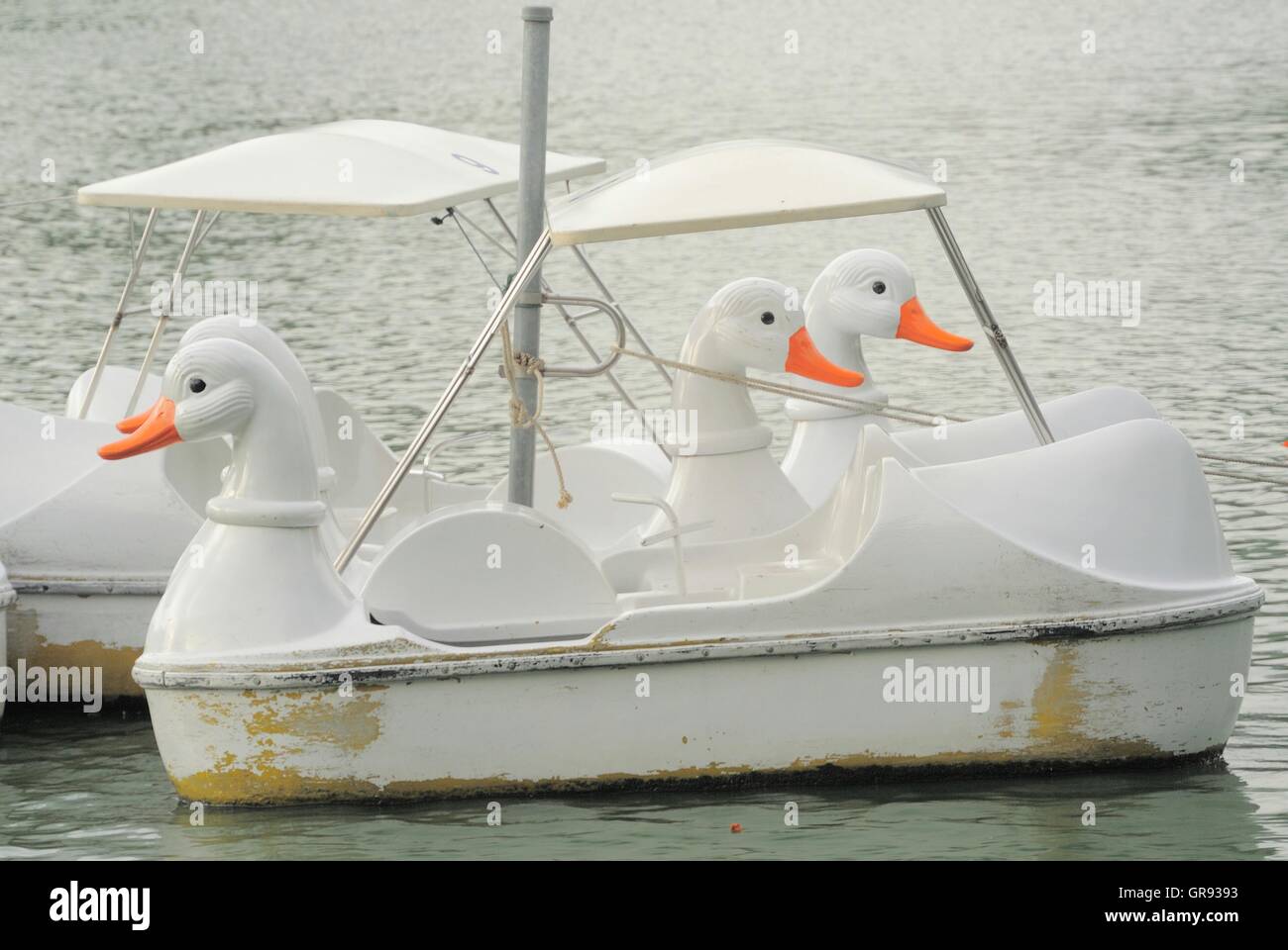 Swan boats hi-res stock photography and images - Alamy