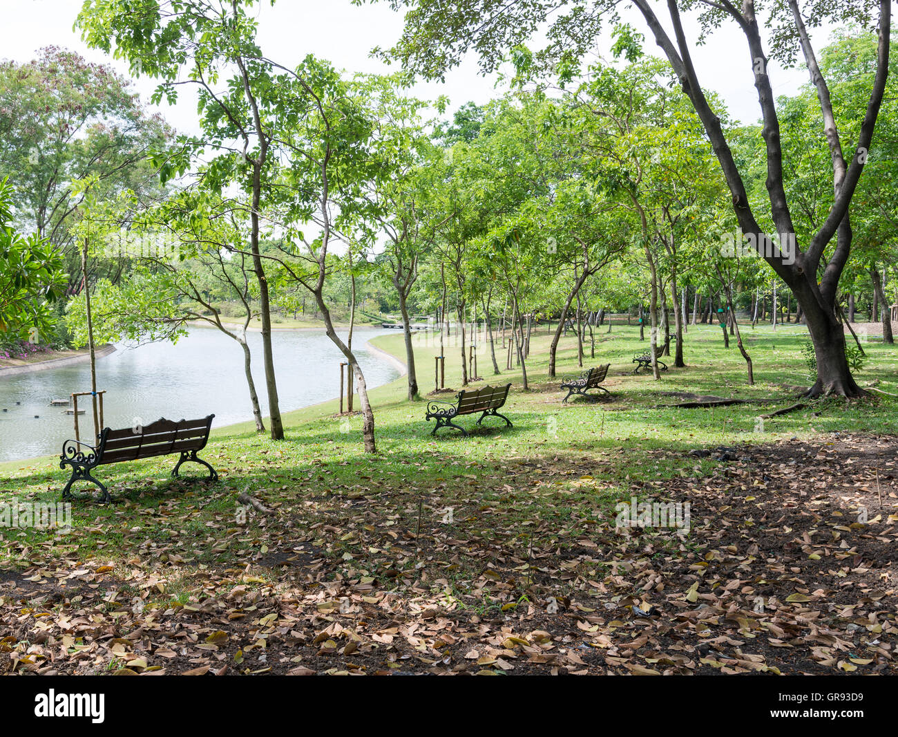 Old metal bench near the small pond in the urban park Stock Photo - Alamy