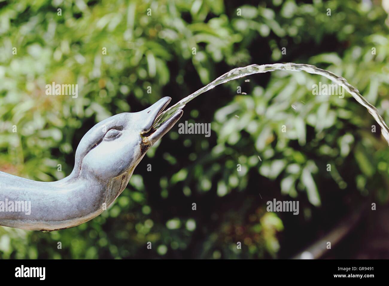 Straying hi-res stock photography and images - Alamy