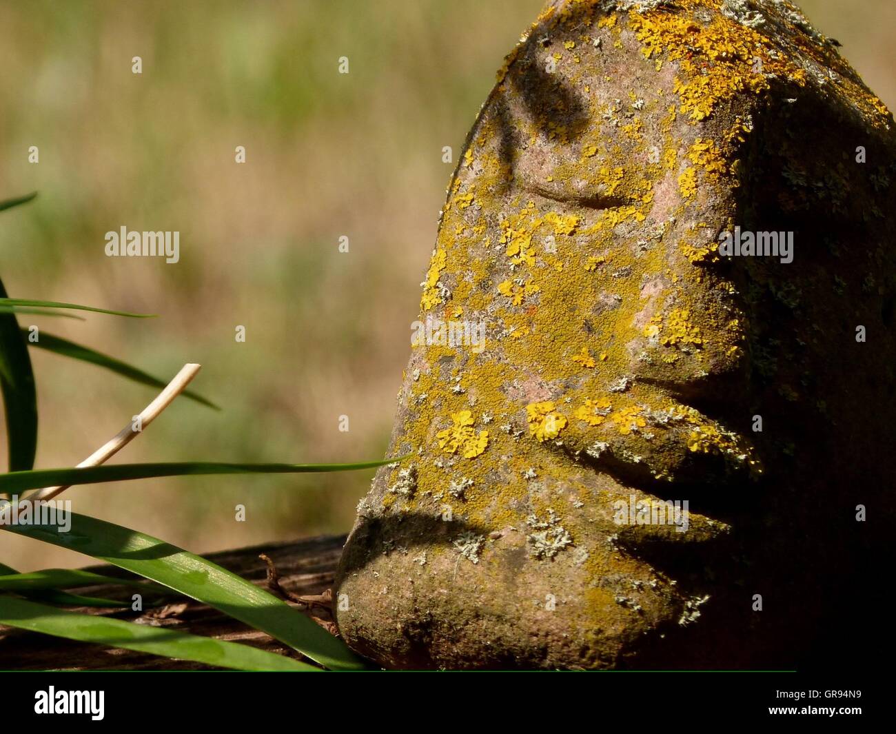 Close-Up Of Moss Covered Stone Statue Outdoors Stock Photo - Alamy