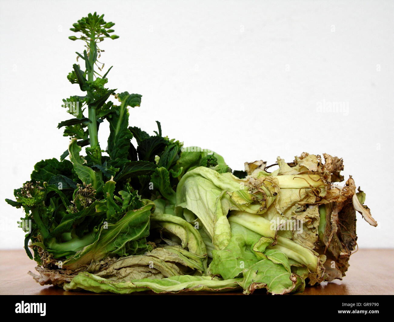Regrow vegetables hi-res stock photography and images - Alamy