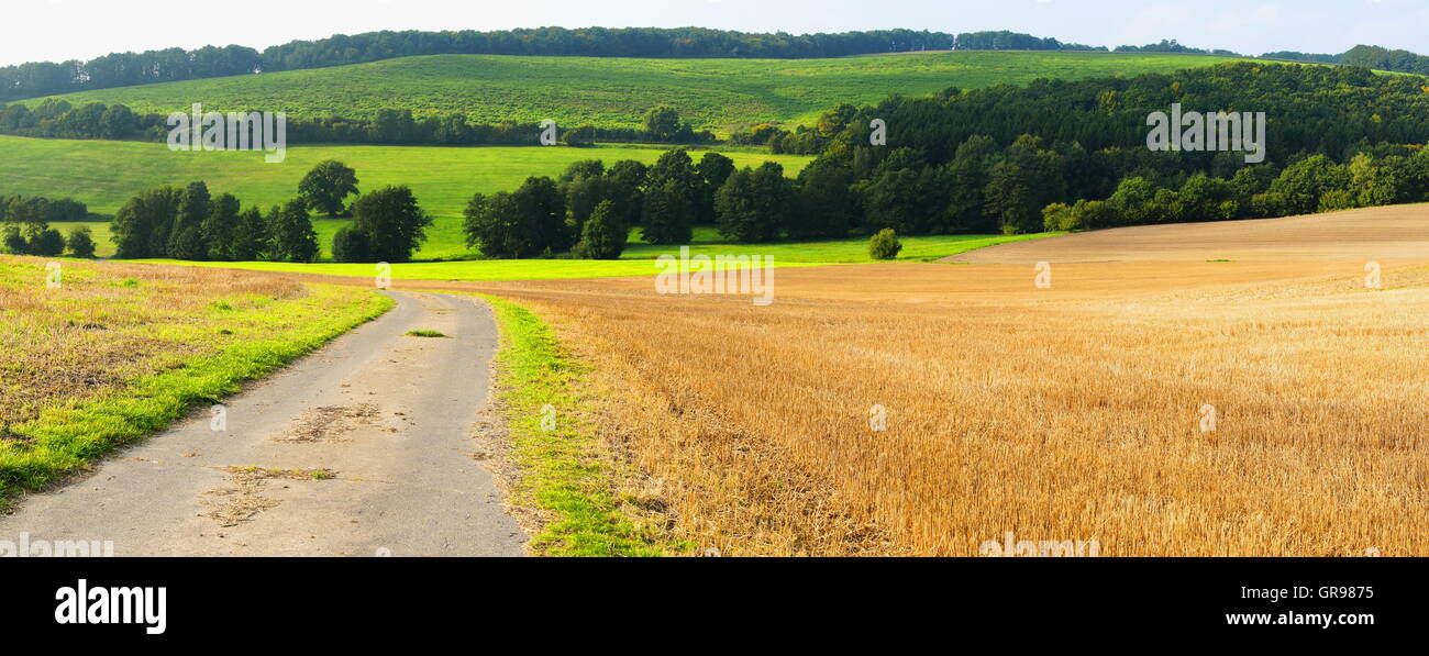 Stubble fields hi-res stock photography and images - Alamy