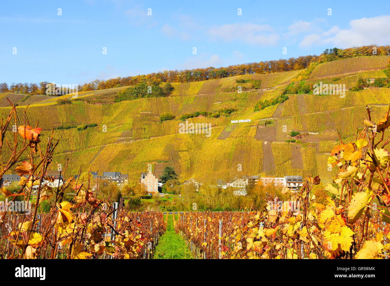 ürziger würzgarten hi-res stock photography and images - Alamy