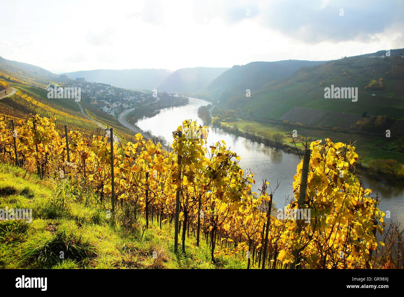 Moselle Valley With The Wine Village Burg In Autumn Stock Photo - Alamy