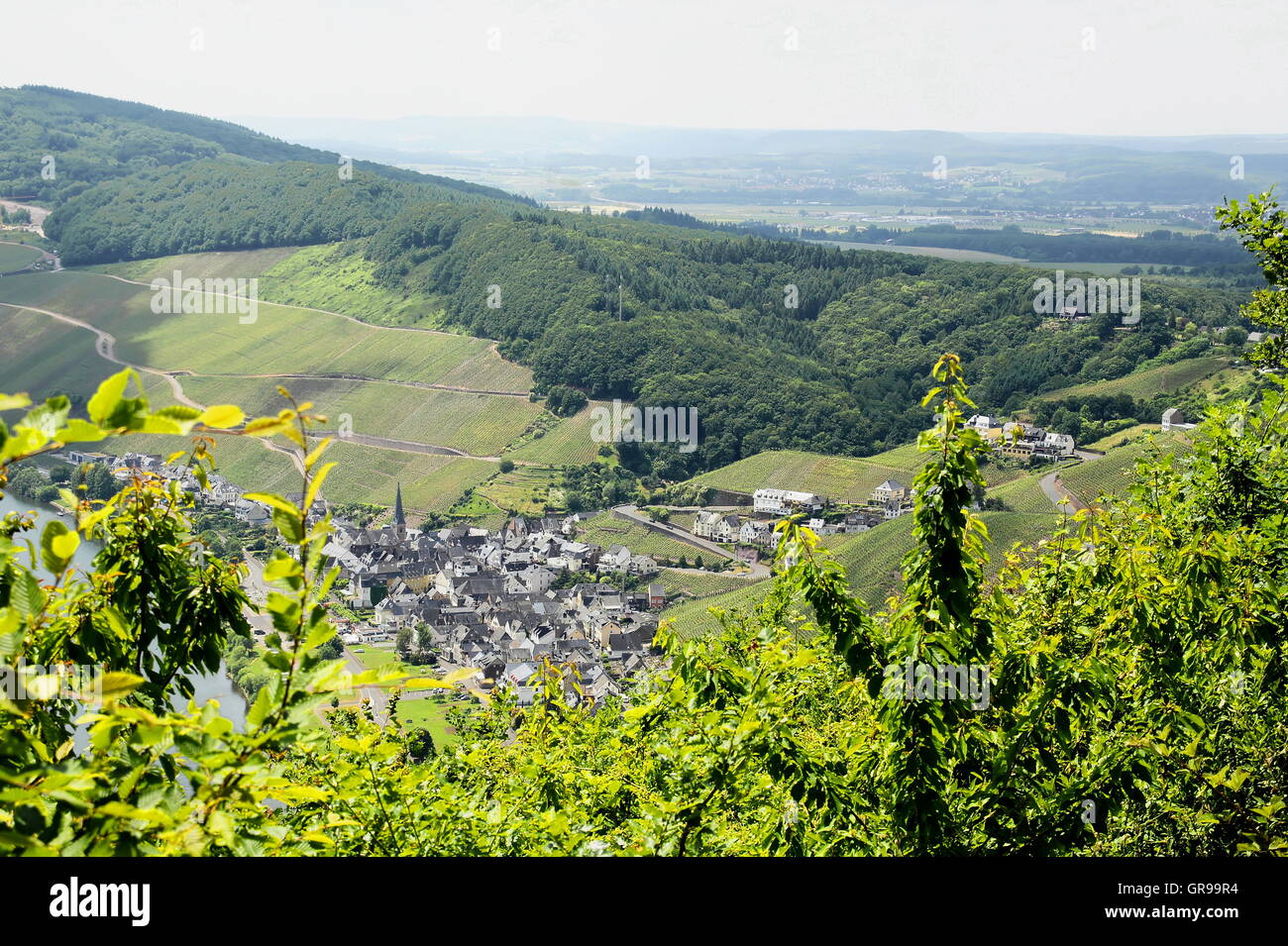 Wine Village Ürzig On The Moselle With The Wittlich Valley Right Stock ...
