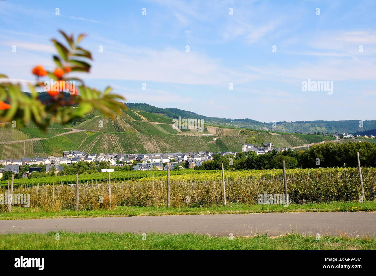 Kinheim hi-res stock photography and images - Alamy