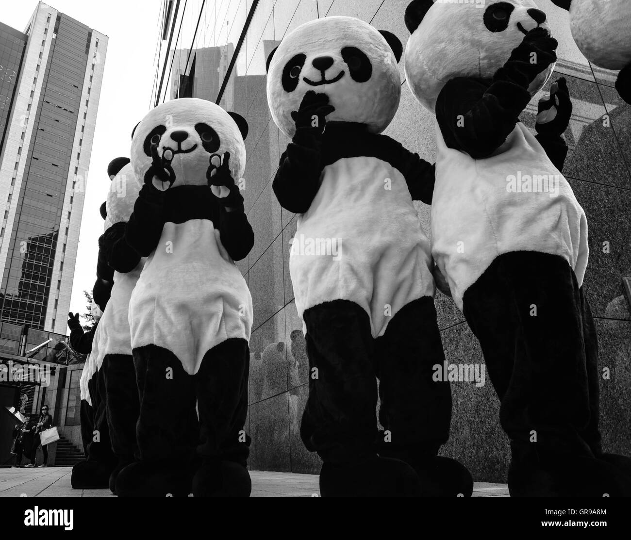Person in panda costume hi-res stock photography and images - Alamy