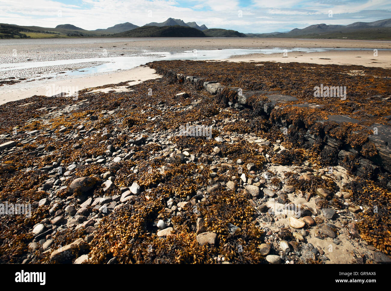 Scottish landscape with seaweed and sand. Highlands. Scotland. UK Stock ...