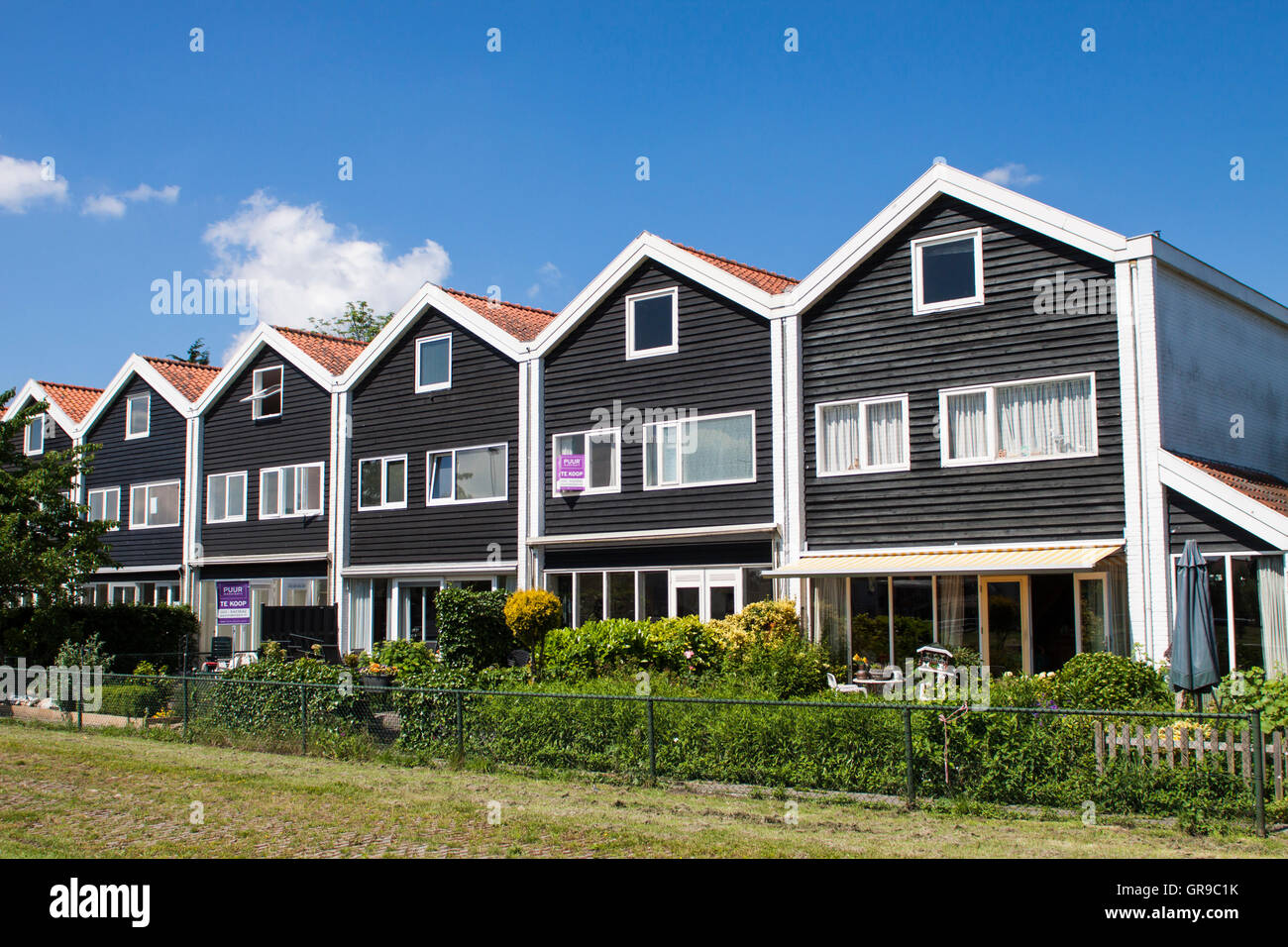Clapboard houses in the suburbs of Haarlem, Netherlands Stock Photo - Alamy