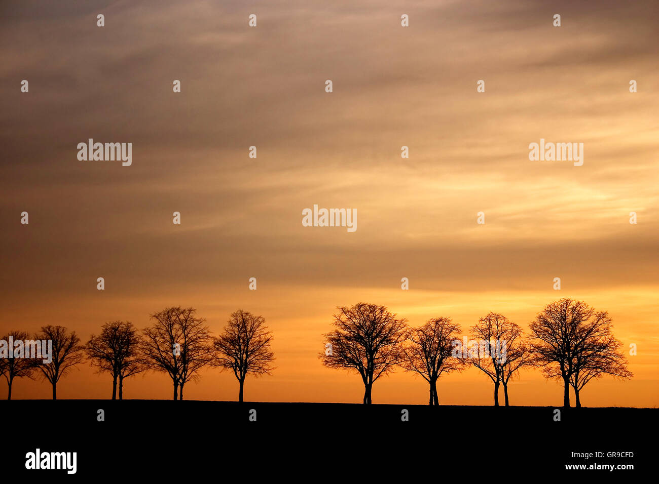 Alley In Sunset Stock Photo - Alamy