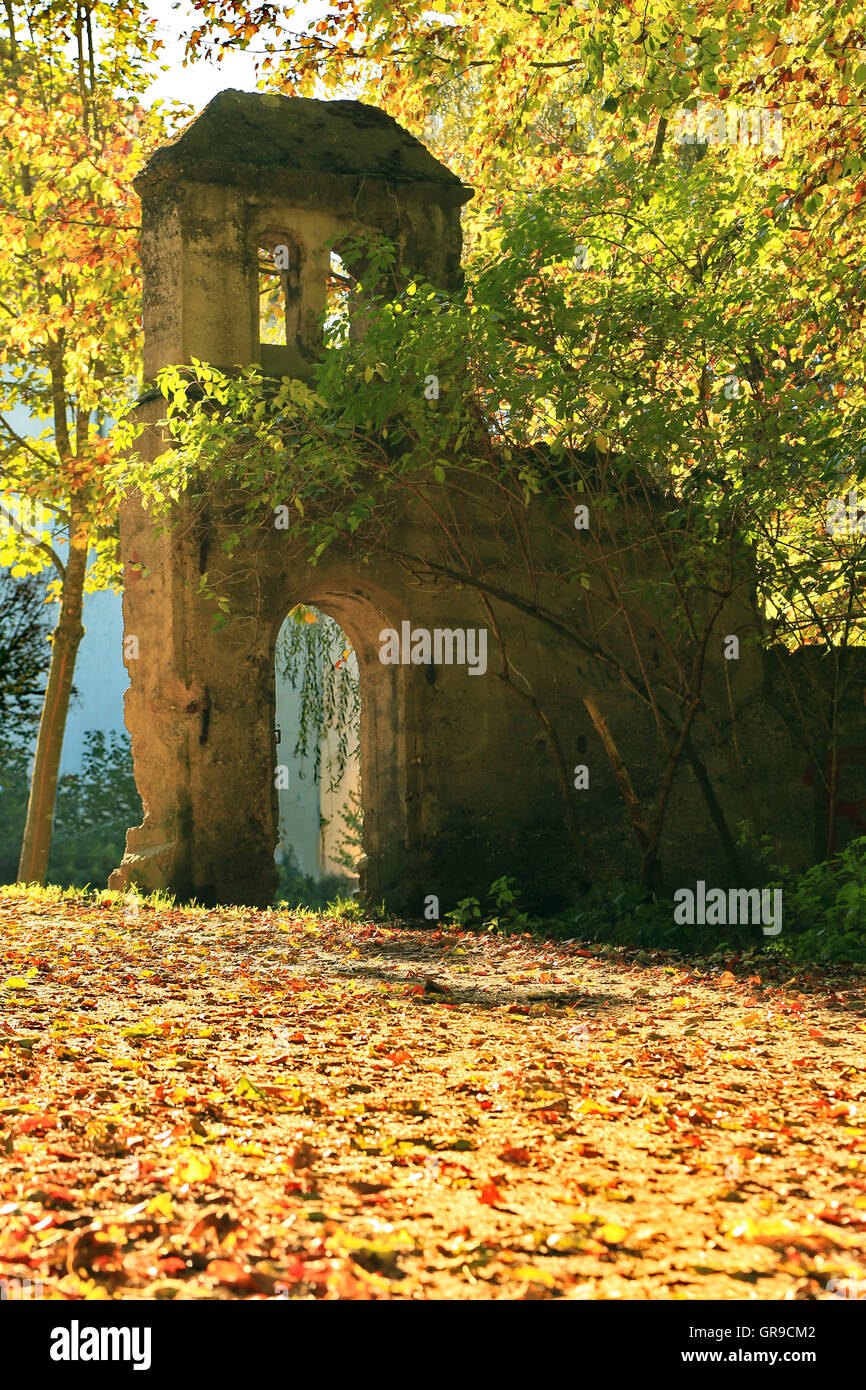 Portal tree hi-res stock photography and images - Alamy