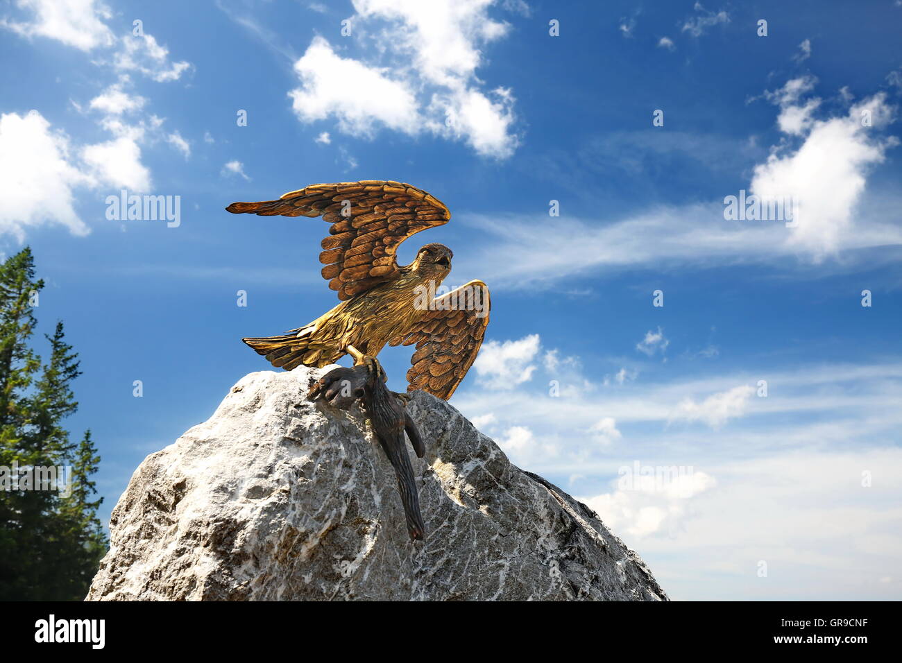 German falcon hi-res stock photography and images - Alamy
