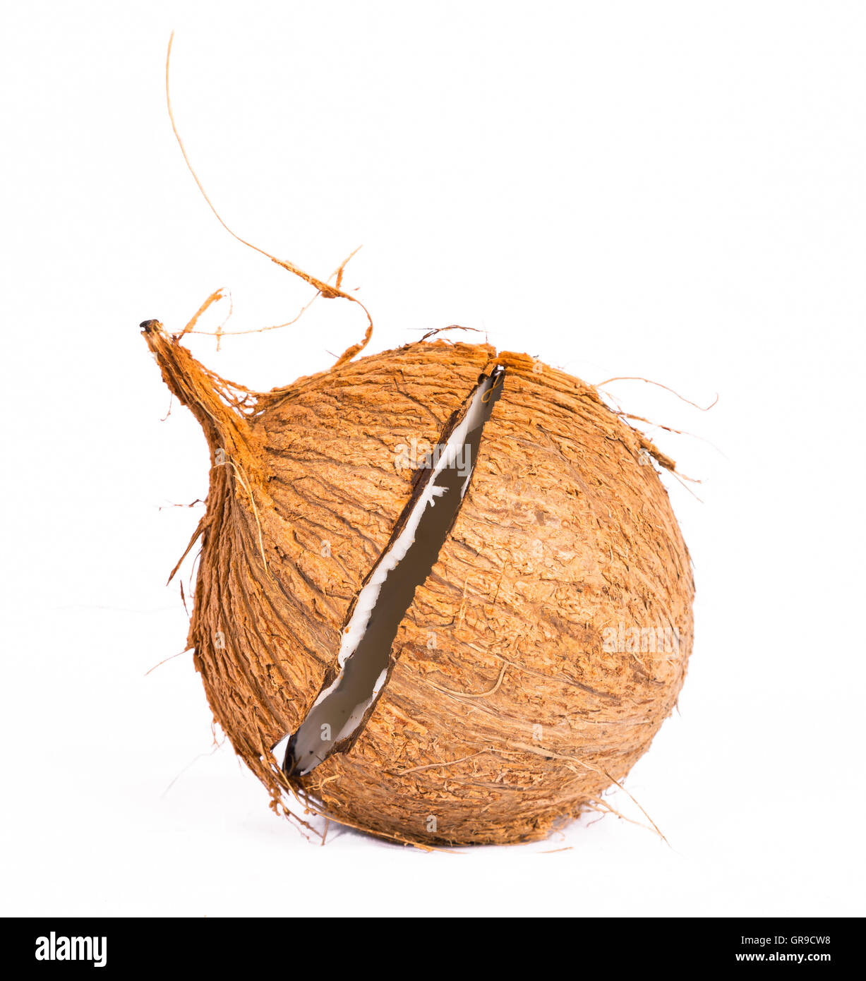 Coconut shell casing isolated on white background Stock Photo - Alamy