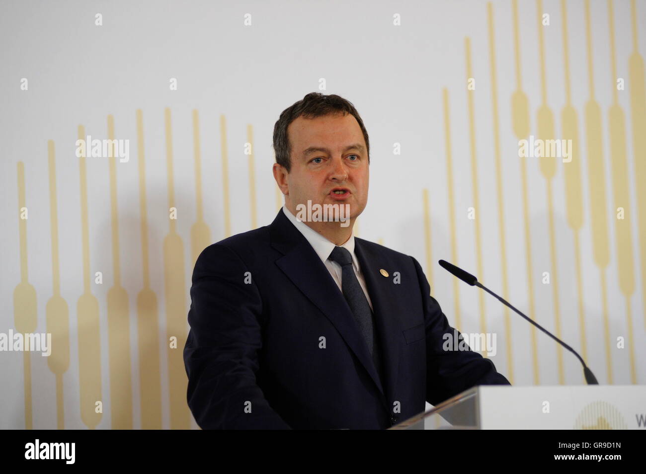 Serbian Foreign Minister Ivica Dacic Stock Photo - Alamy