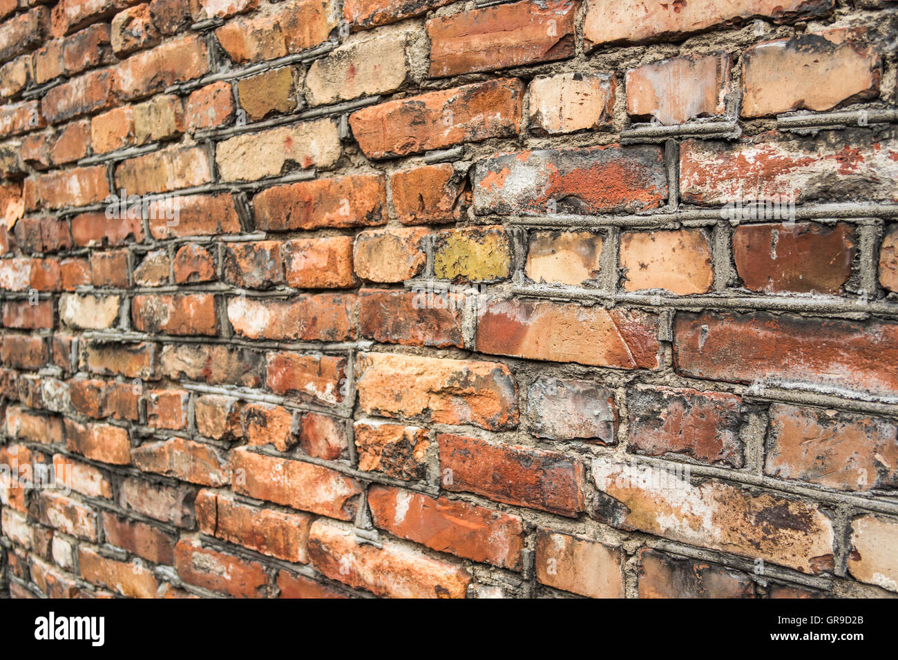 Image of brick wall to use as background / backdrop for portraits Stock ...