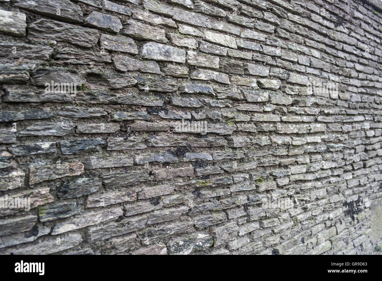Image of brick wall to use as background / backdrop for portraits Stock ...