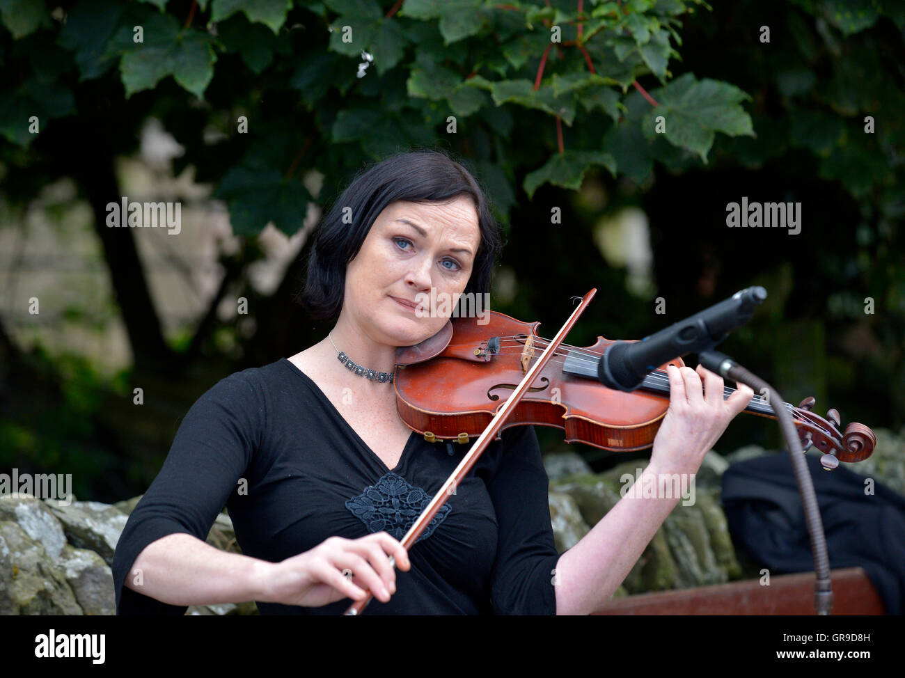 Irish musician playing traditional music on a fiddle. ©George Sweeney ...