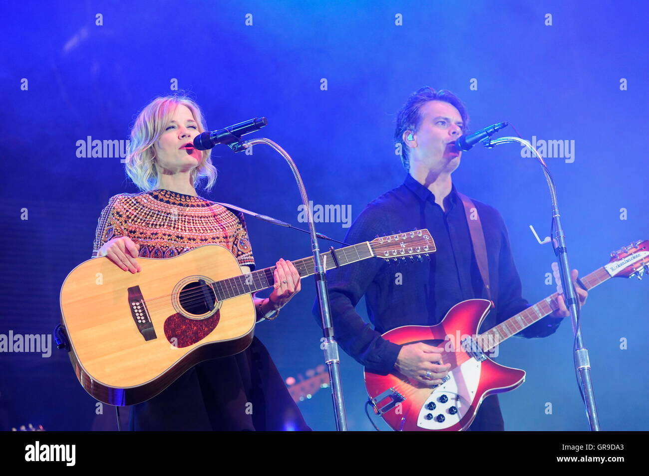 Linnets hi-res stock photography and images - Alamy