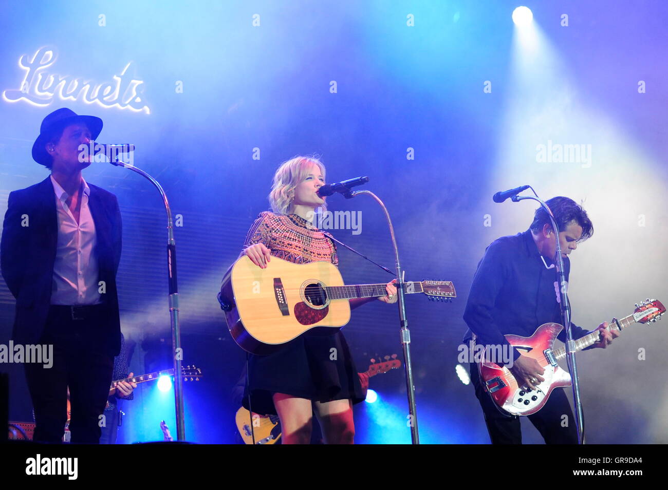 The Common Linnets In Concert Stock Photo - Alamy