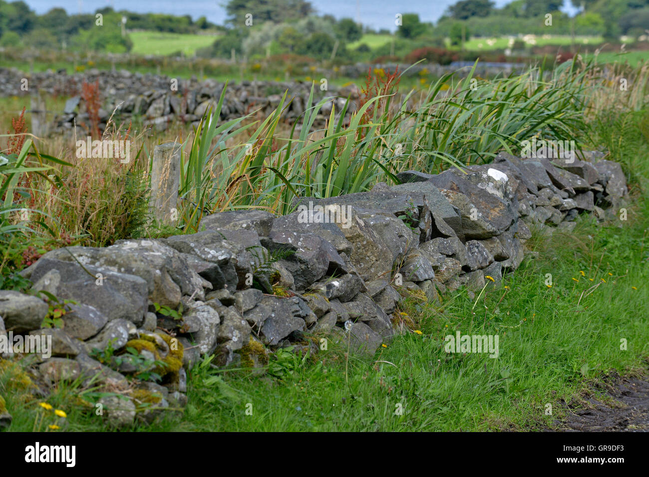 Irish dry stacked stone walls hi-res stock photography and images - Alamy