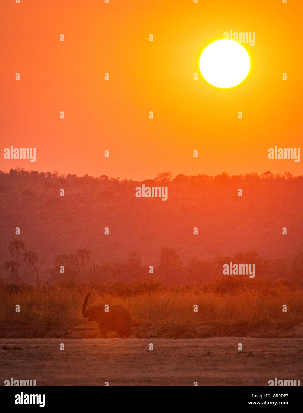 Dry ruaha river hi-res stock photography and images - Alamy