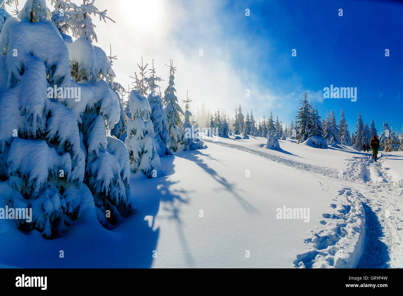 Blue blazed trail hi-res stock photography and images - Alamy