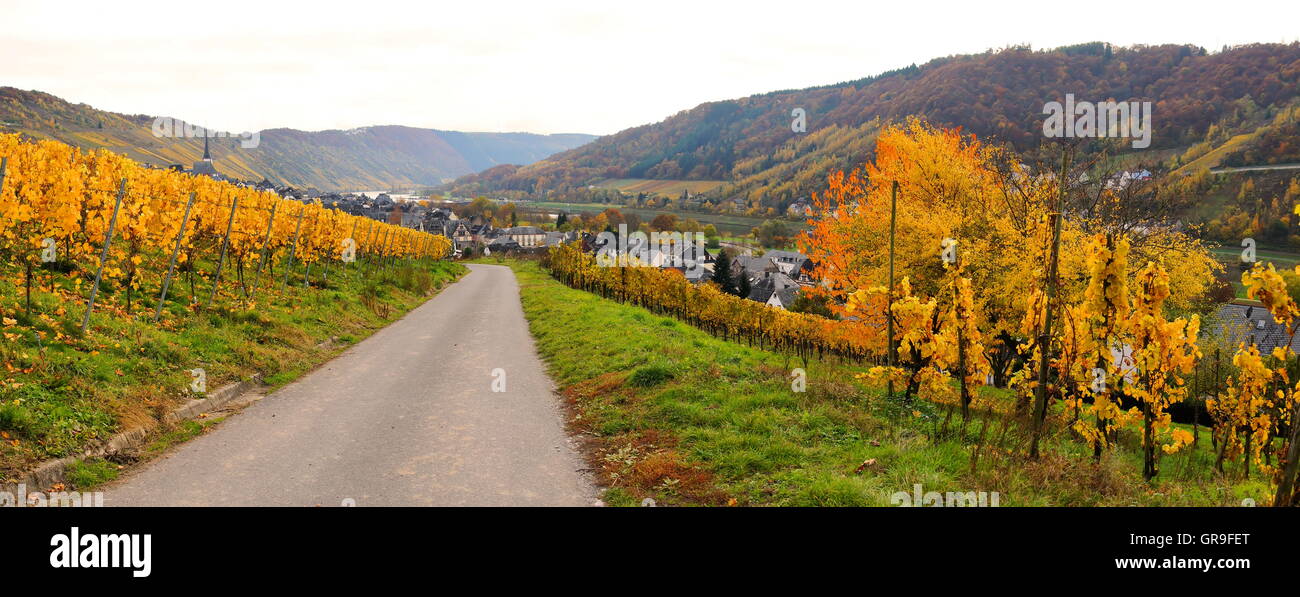 Enkirch moselle valley rhineland palatinate germany hi-res stock ...
