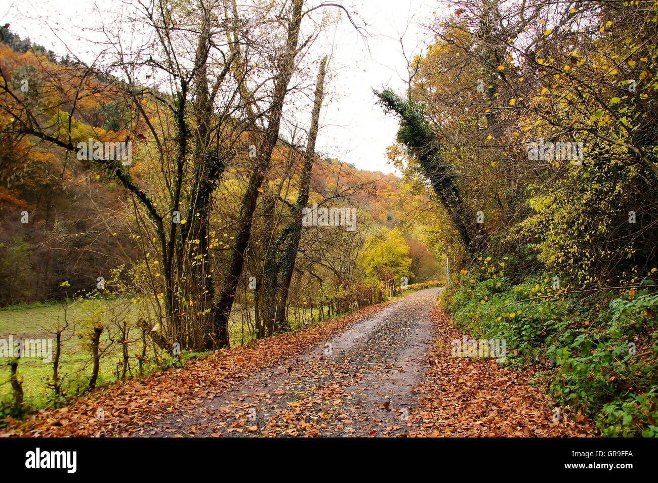 Enkirch Stock Photos & Enkirch Stock Images - Alamy