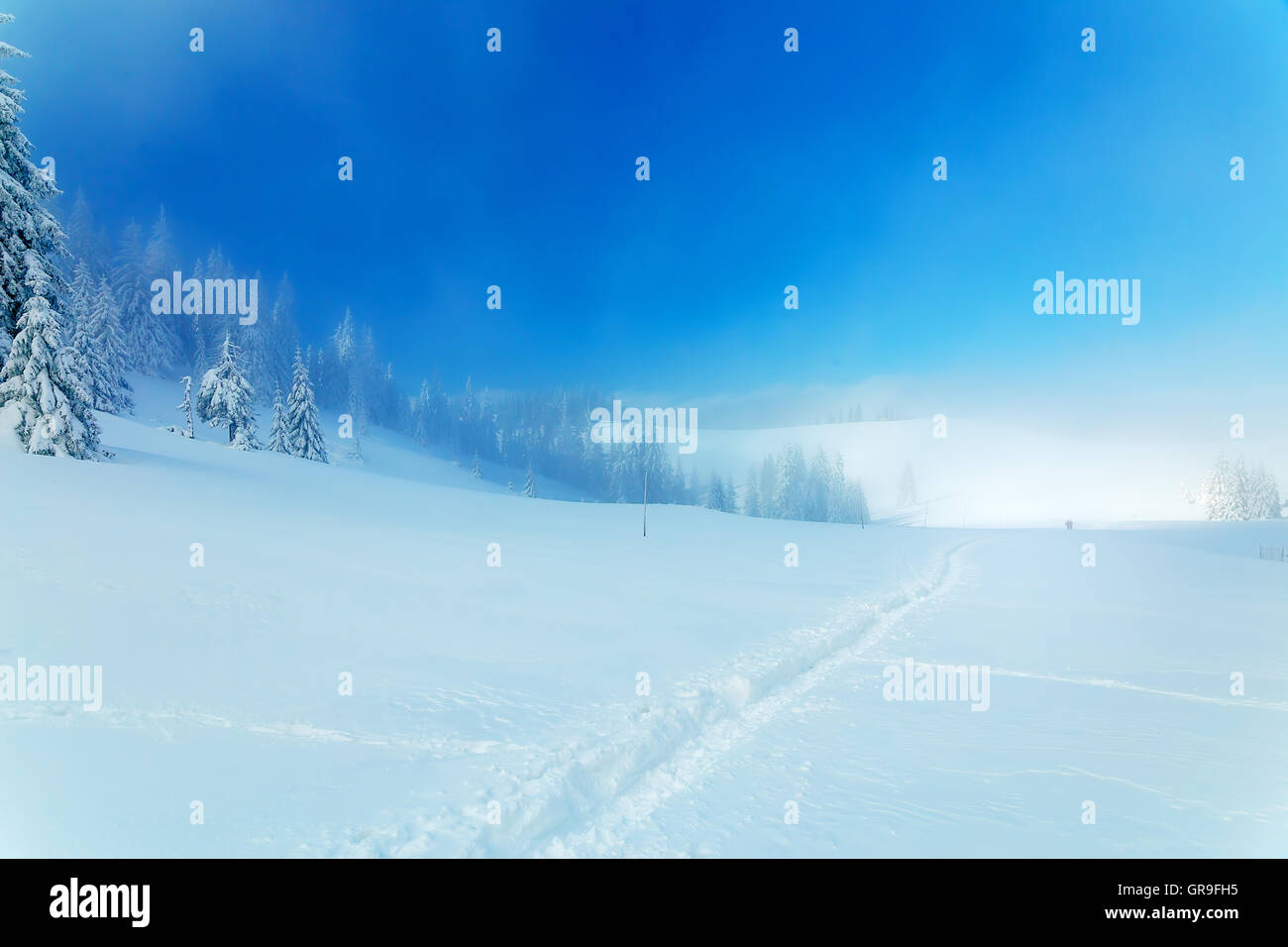 Beautiful mountain snowy landscape and snow covered trees and snowy ...