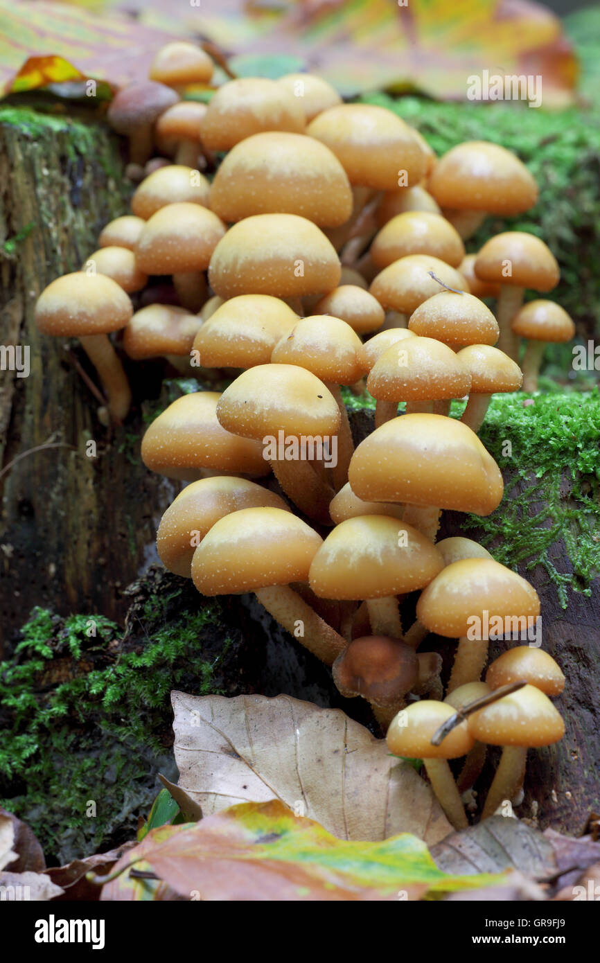 Changeable hi-res stock photography and images - Alamy