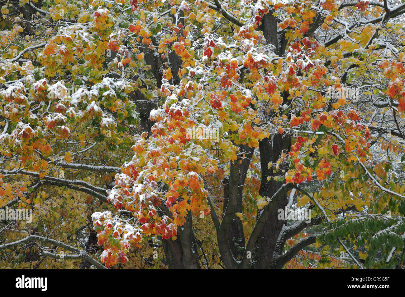 Onset hi-res stock photography and images - Alamy