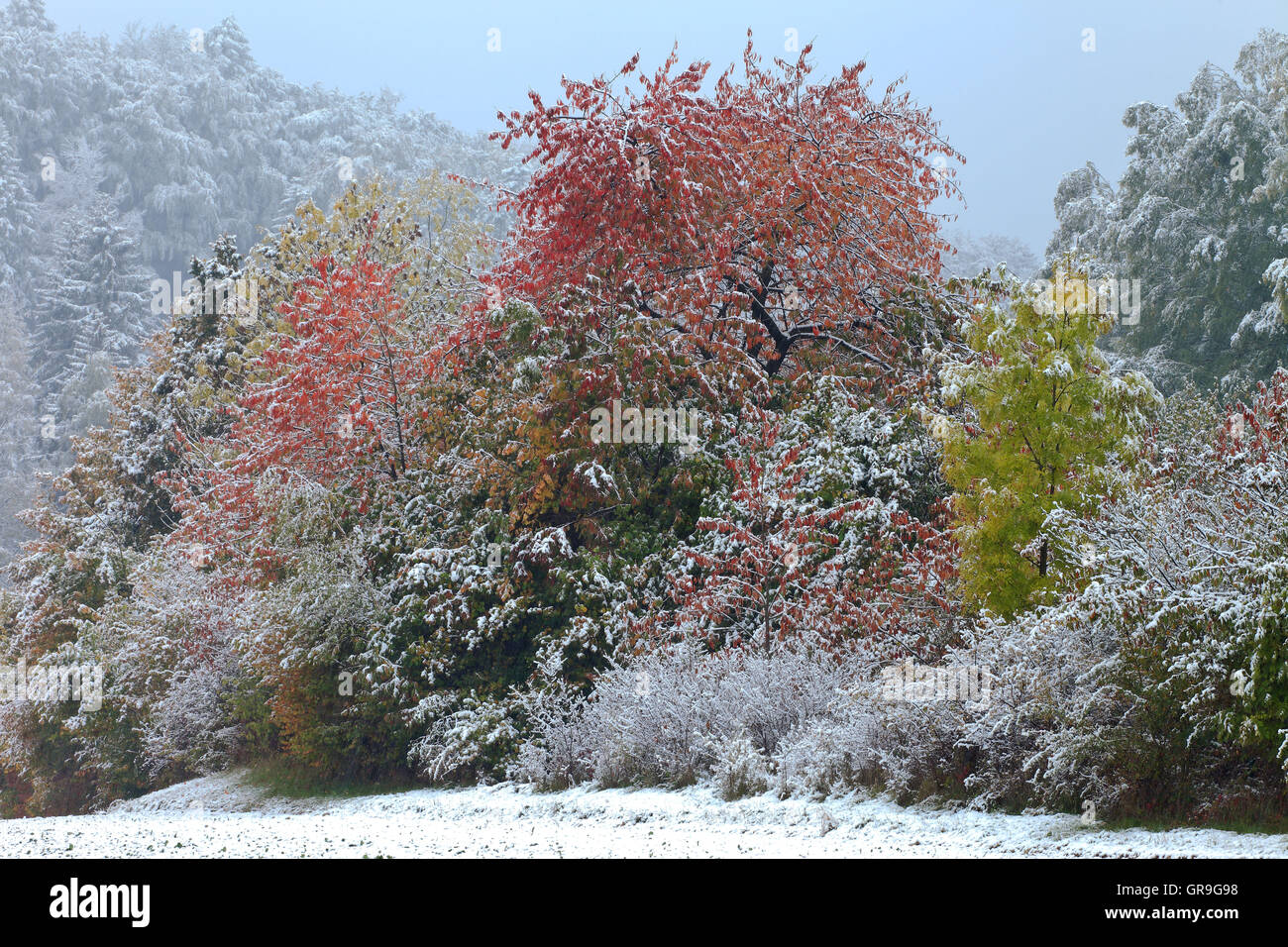 Onset Of Winter Stock Photo - Alamy