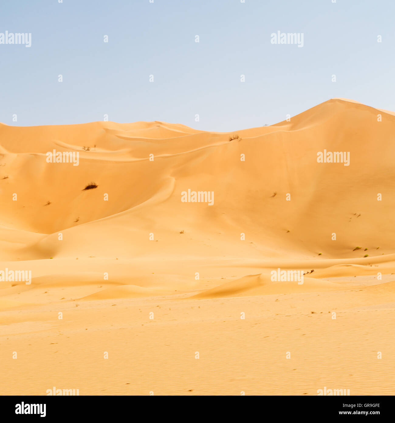 the empty quarter and outdoor sand dune in oman old desert rub al khali ...