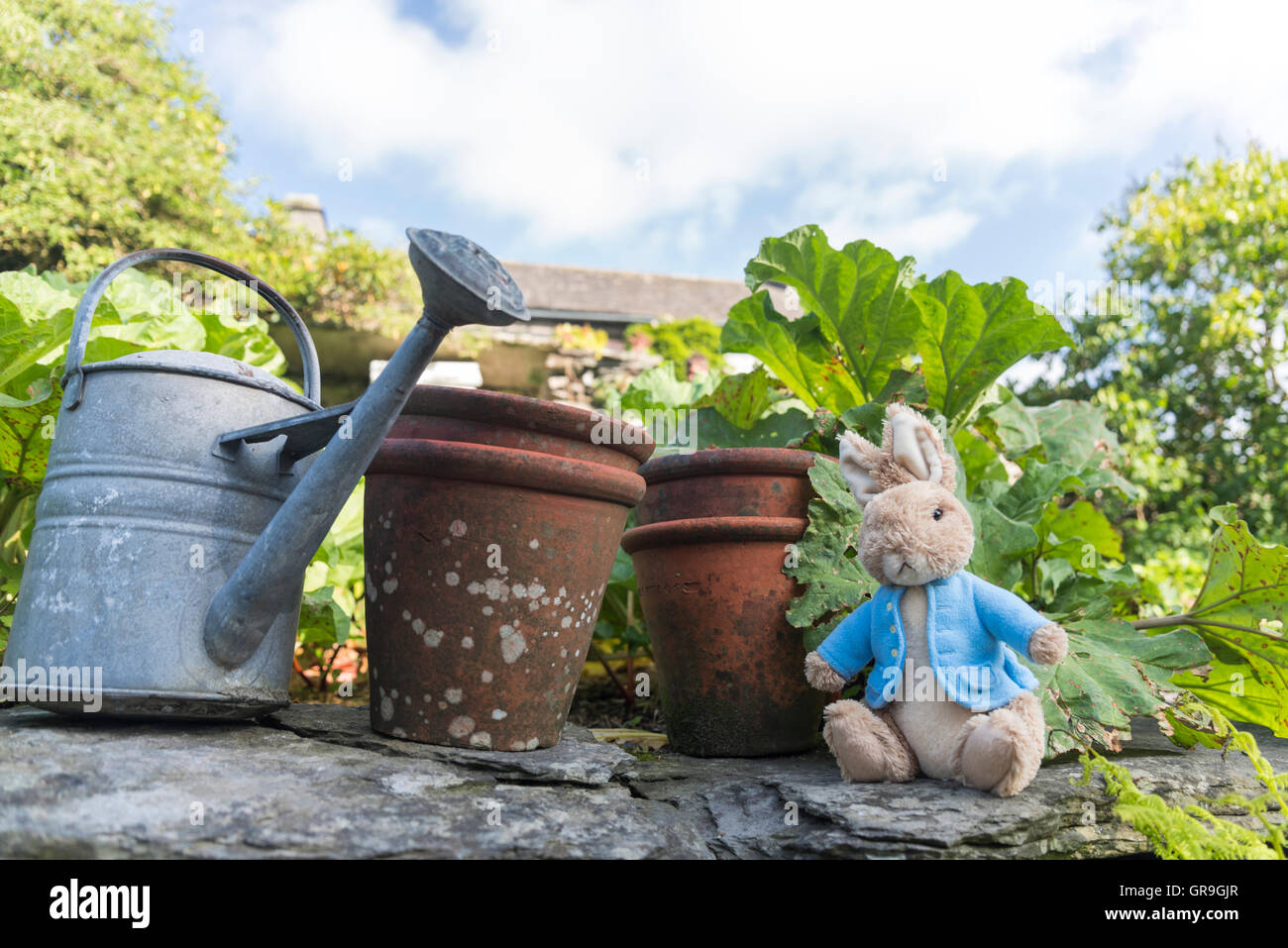 Peter rabbit hi-res stock photography and images - Alamy