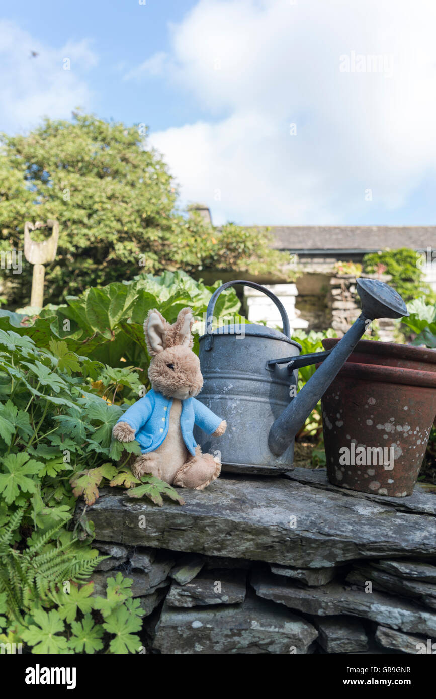 Peter rabbit hi-res stock photography and images - Alamy