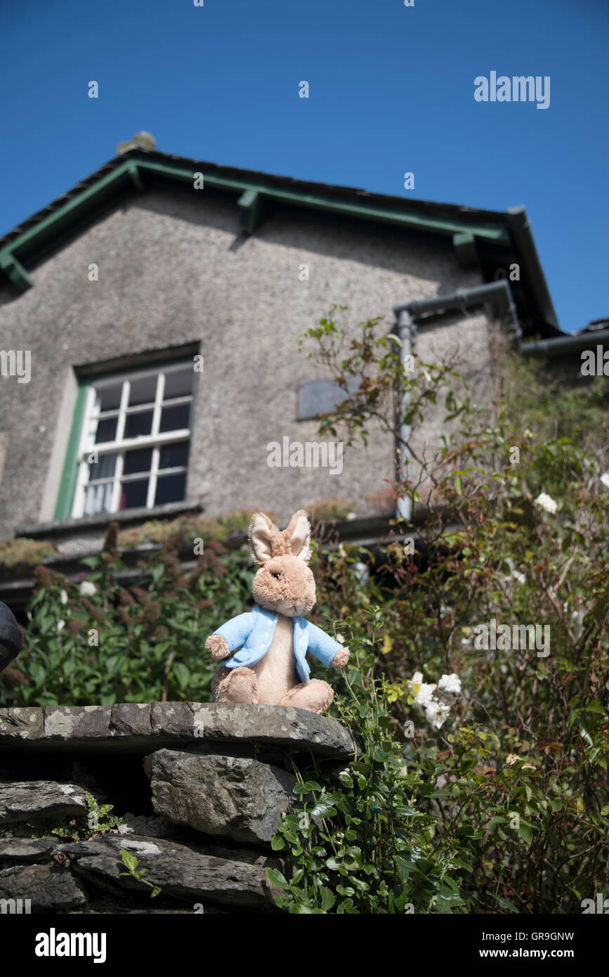 Peter rabbit hi-res stock photography and images - Alamy